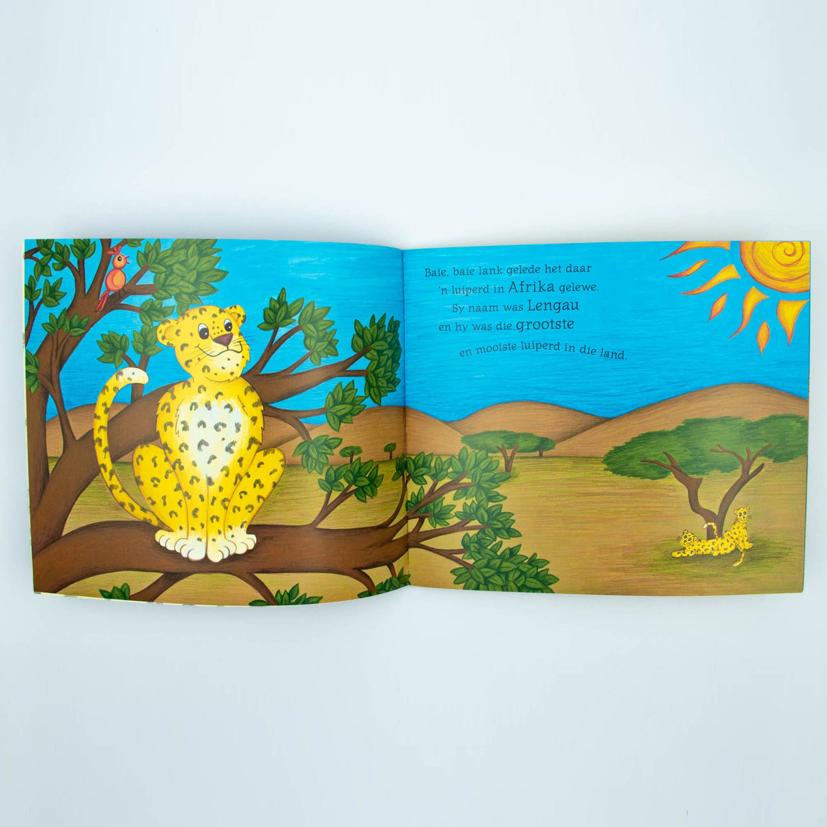 African Folklore Stories Die Gelukkige Luiperd Afrikaans Story Book ...