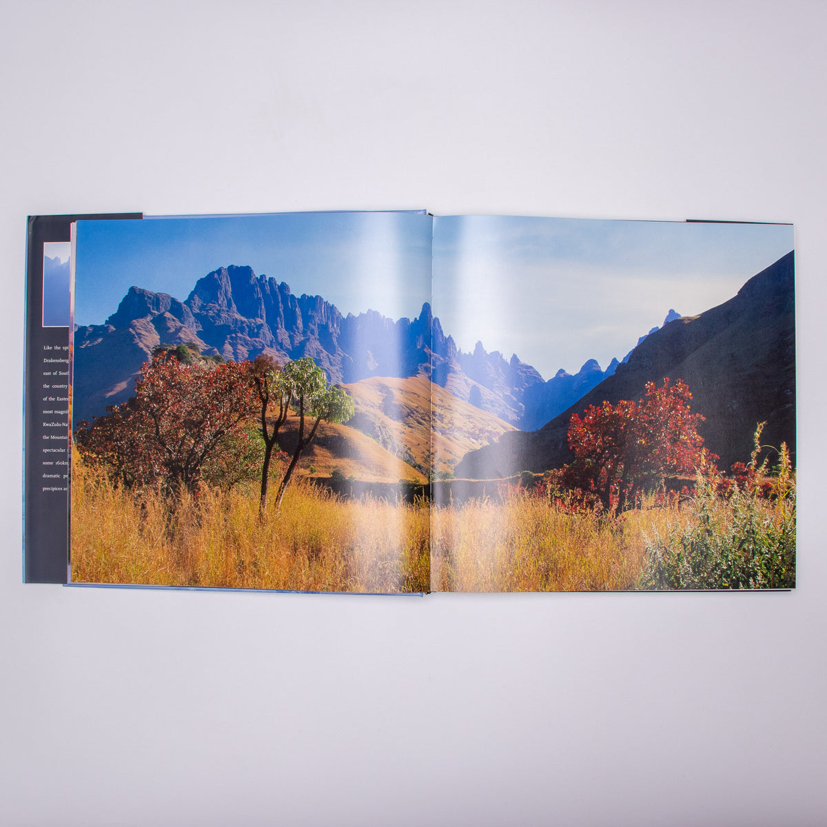 Encounters with the Dragon by John Hone – ArtPublishers